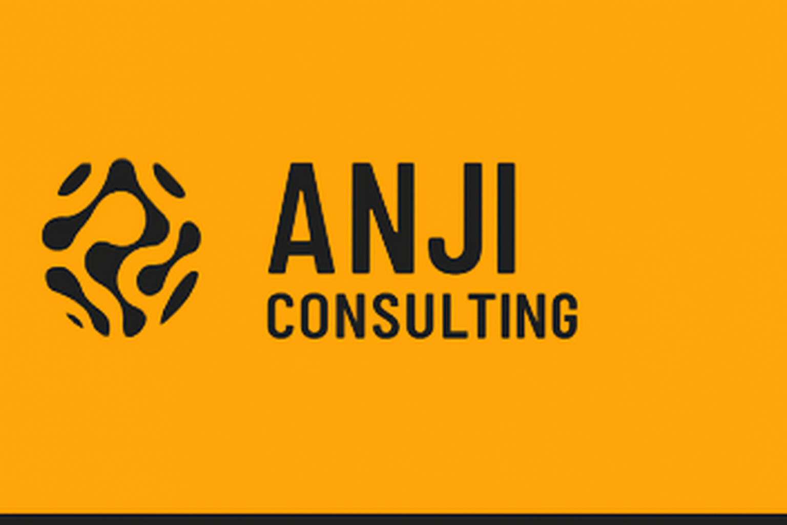 Home - Anji Consulting Inc